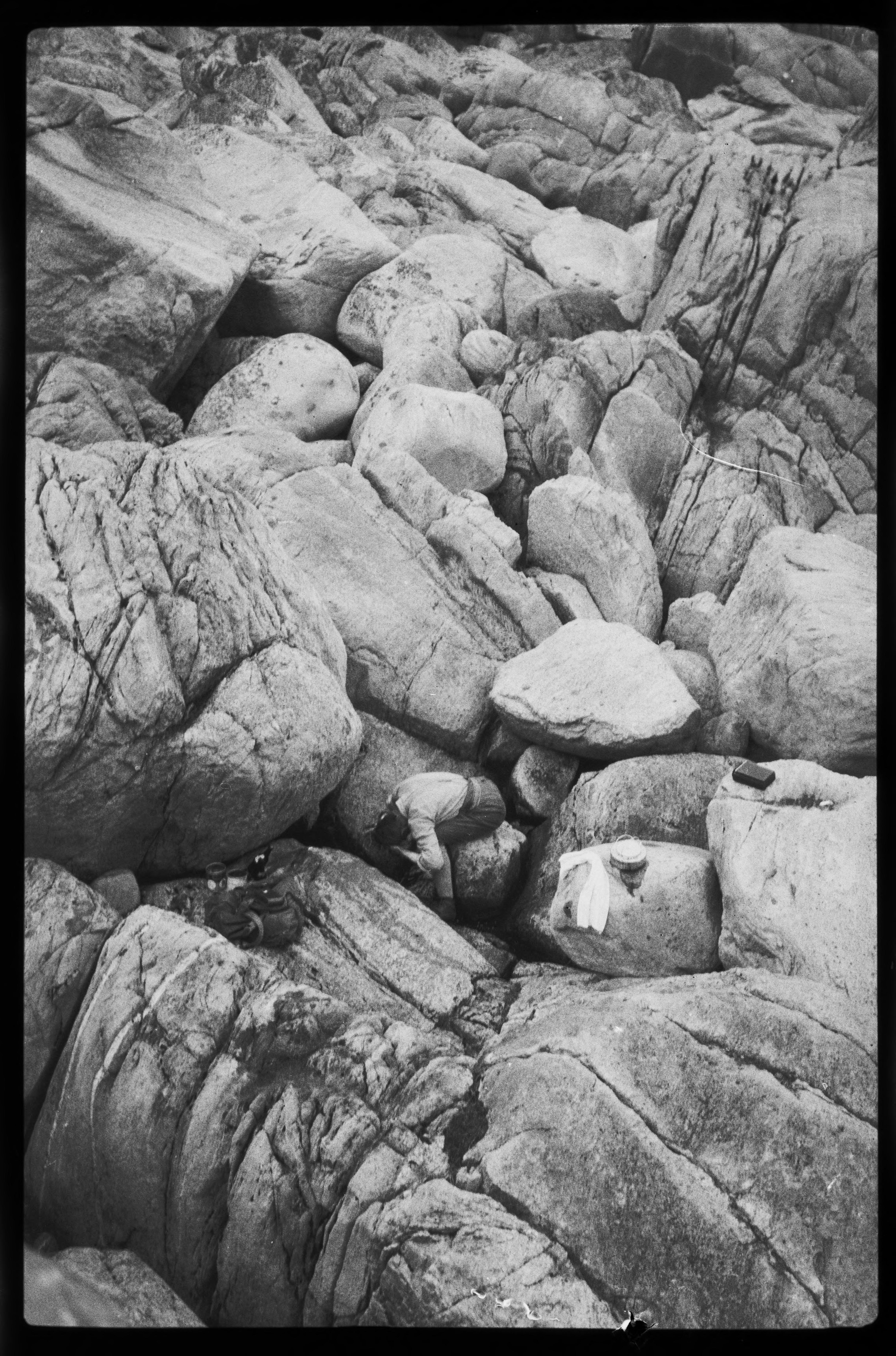 Med Zapffes blikk - Fjell og vidde